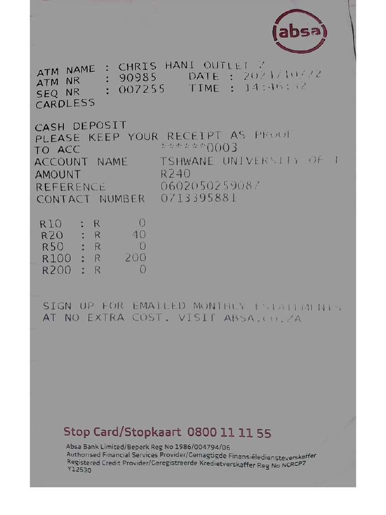 ACE Scanner_2024_10_22(1) | PDF