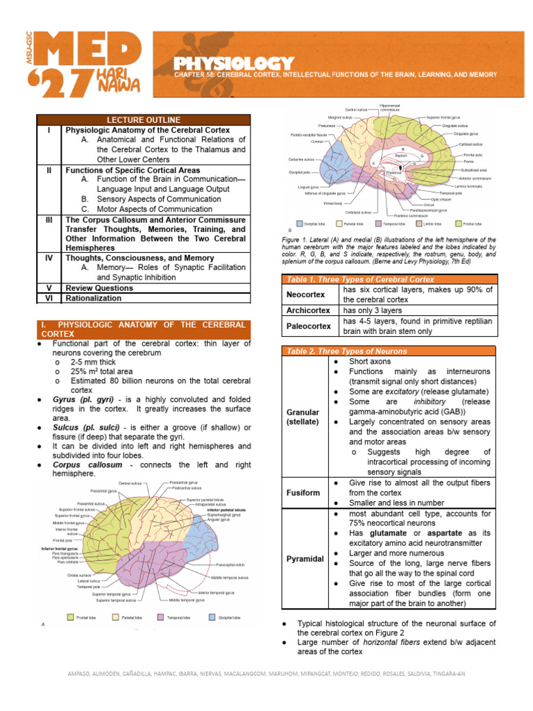 PHYSIOLOGY Chapter 58 Cerebral Cortex Intellectual Functions of The Brain Learning and Memory ...