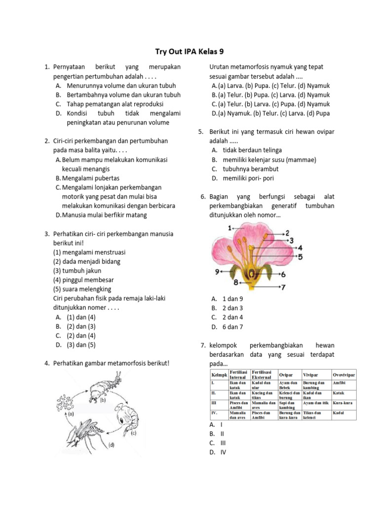 Try Out IPA Kelas 9 | PDF