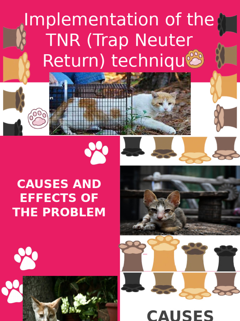 Implementation of The TNR (Trap Neuter Return) Technique | PDF