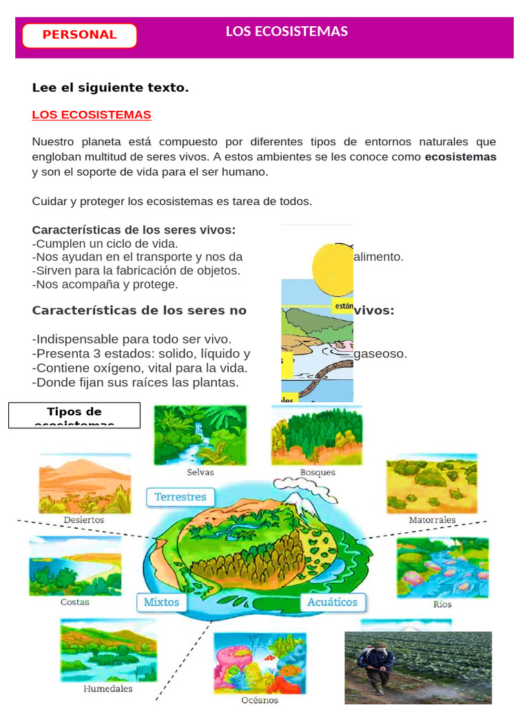 D1 A2 FICHA PS. Los Ecosistemas | PDF | Ecosistema | Conservación del medio ambiente