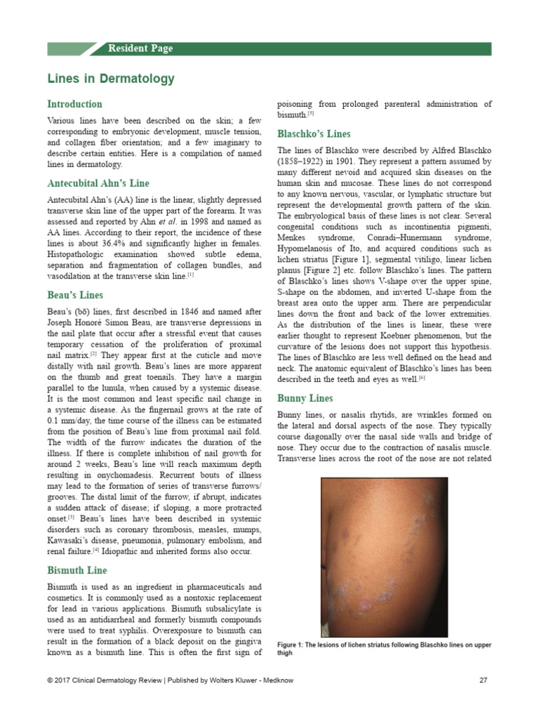 lines_in_dermatology.8 | PDF | Nail (Anatomy)