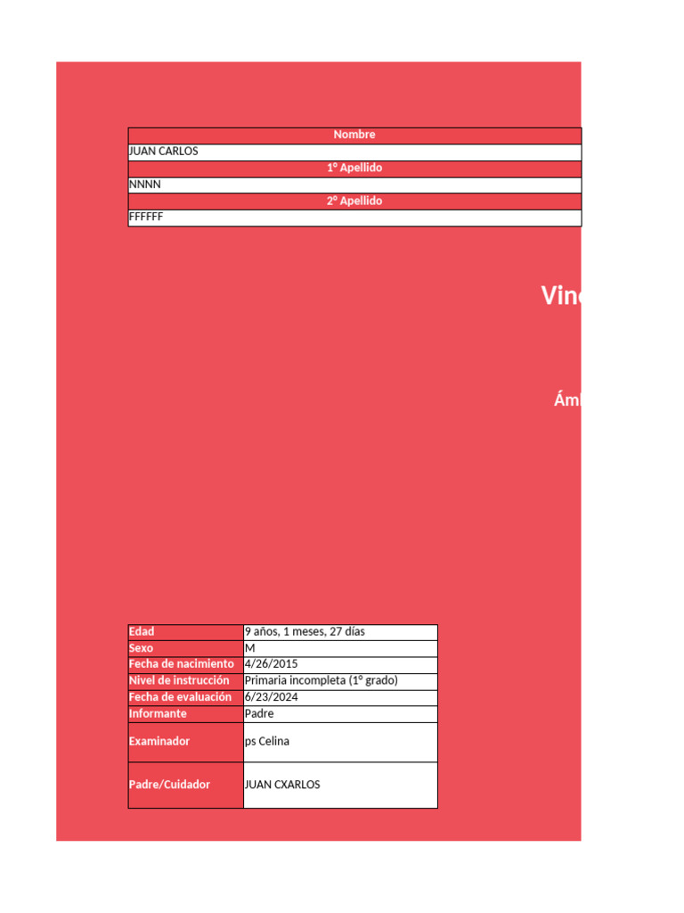 Informe Vineland-3 Juan Carlos | PDF