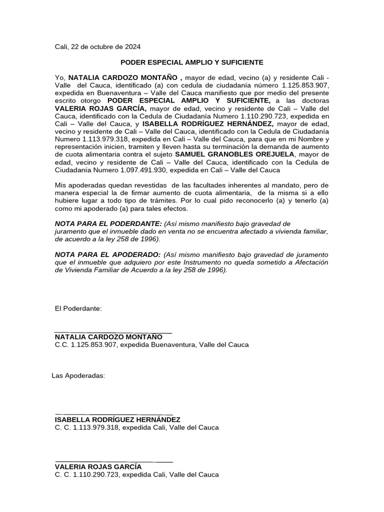 Poder Amplio y Suficiente | PDF