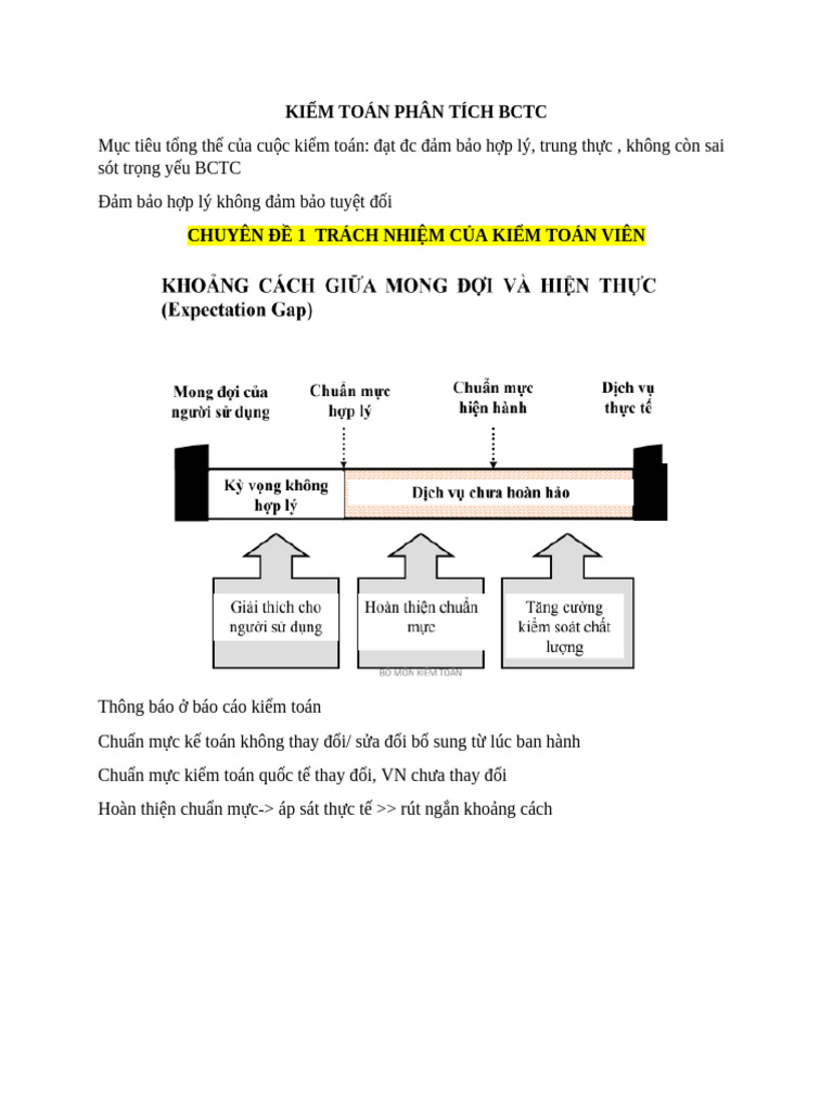 KIỂM TOÁN PHÂN TÍCH BCTC | PDF