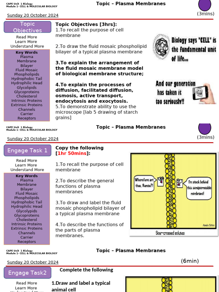 Cell Membrane Notes CAPE Unit 1 Biology | PDF | Cell Membrane ...
