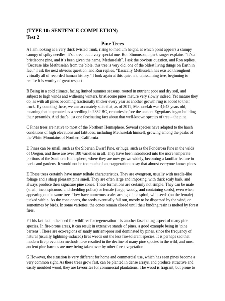 Sentence Completion | PDF | Spice | Pine