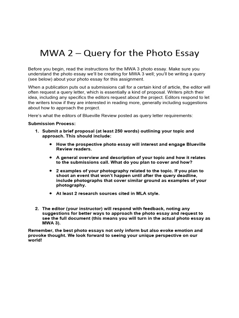Query Guidelines MWA 2 PDF | PDF
