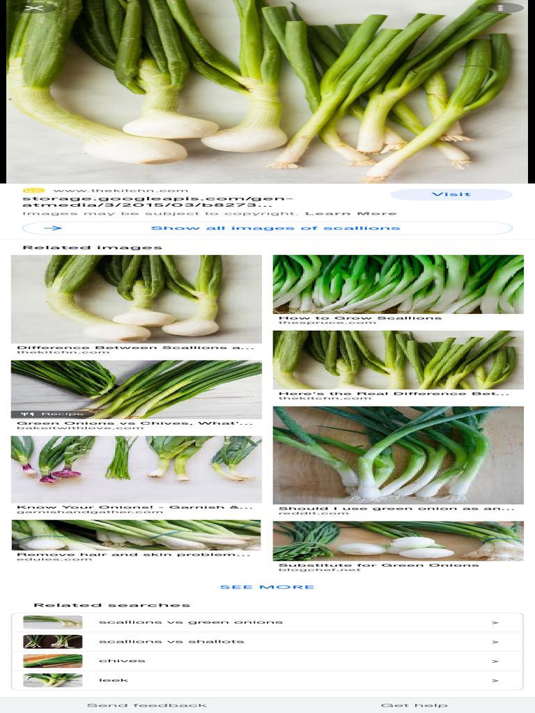 Scallions - Google Search | PDF