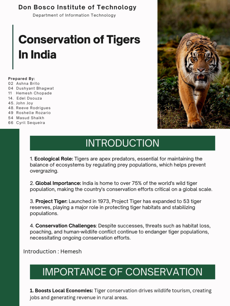 Conservation of Tigers in India | PDF | Tiger | Conservation Biology