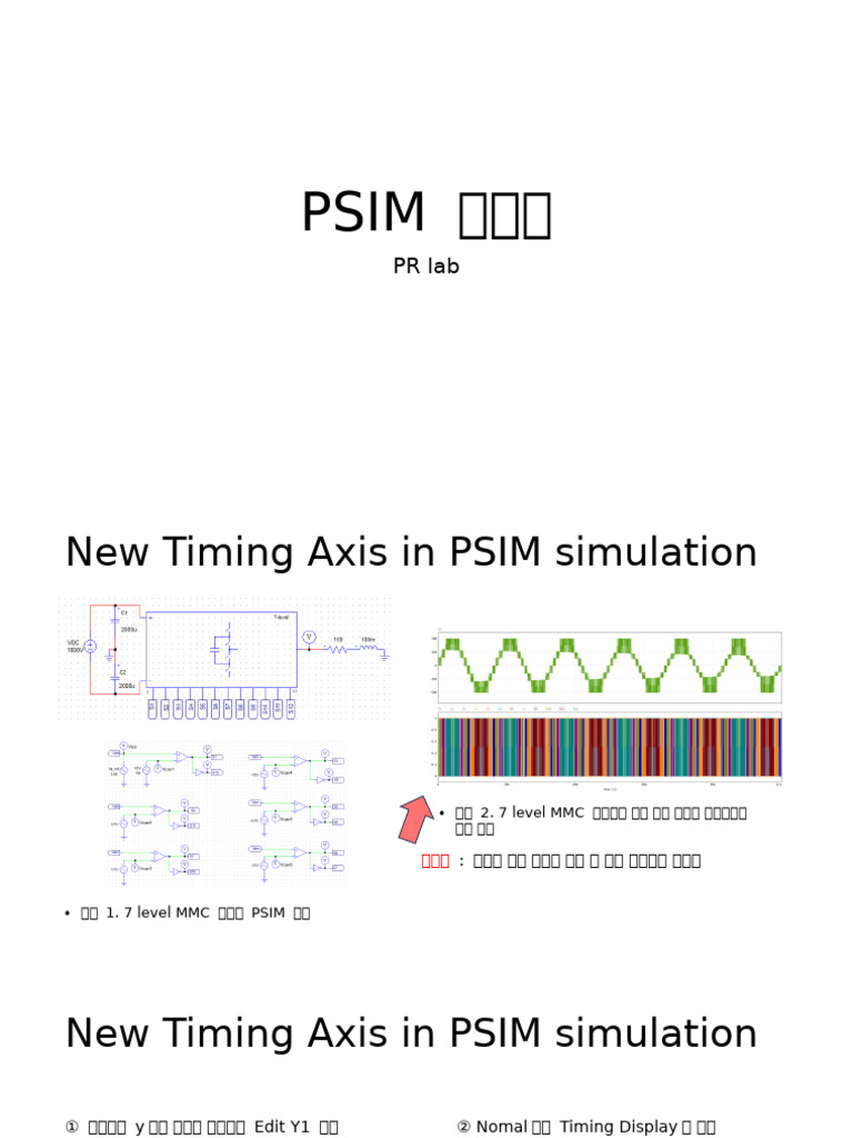 psim 세미나 | PDF