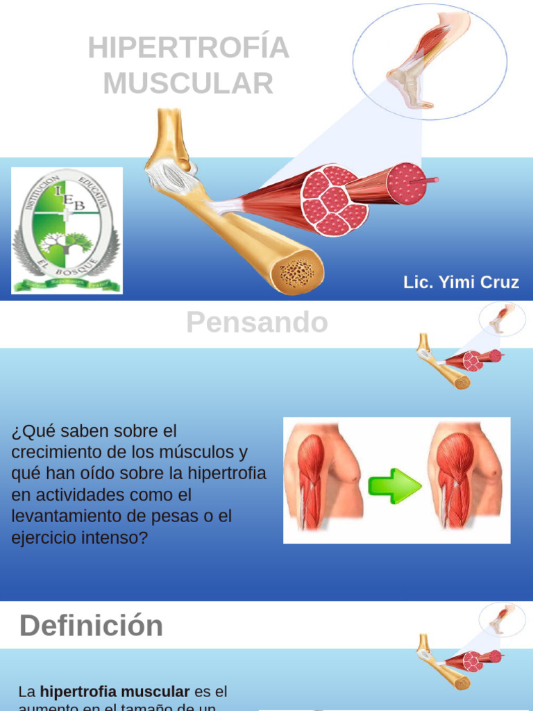 Hipertrofía Muscular: Crecimiento y Fisiología | PDF | Músculo ...