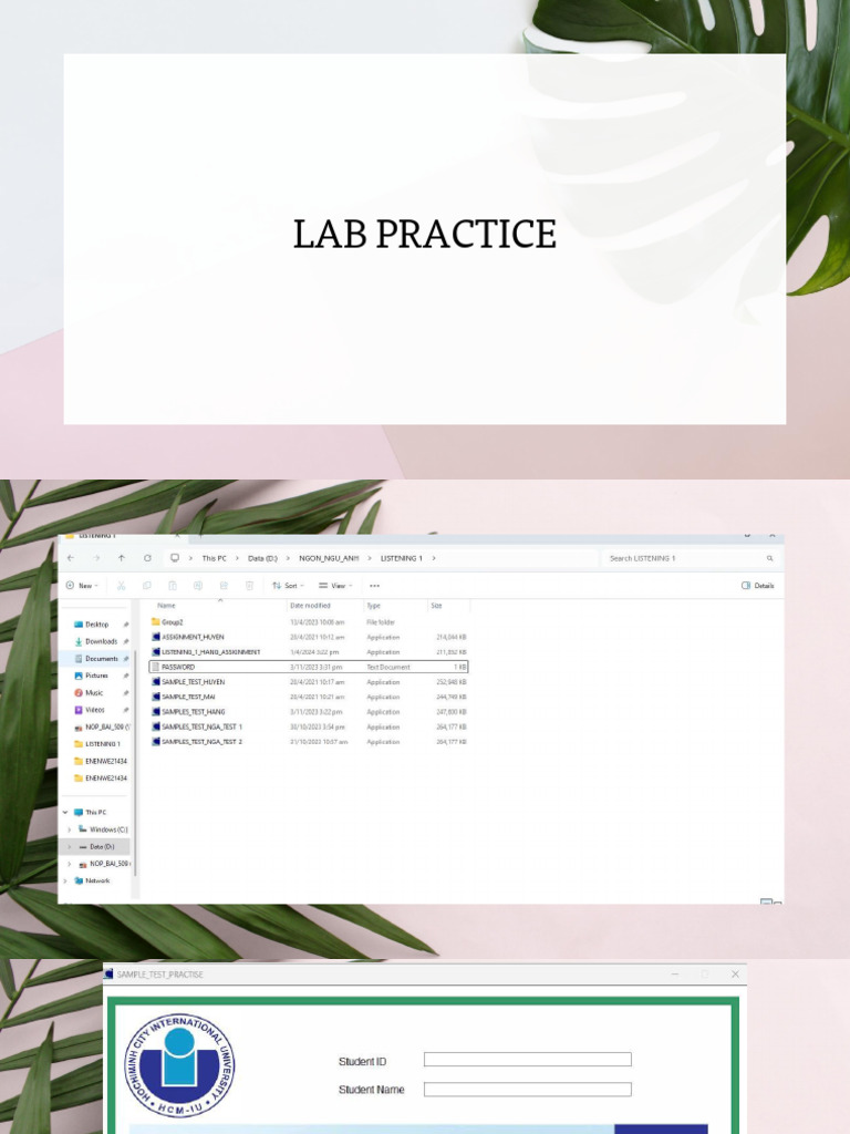 Lab Practice | PDF