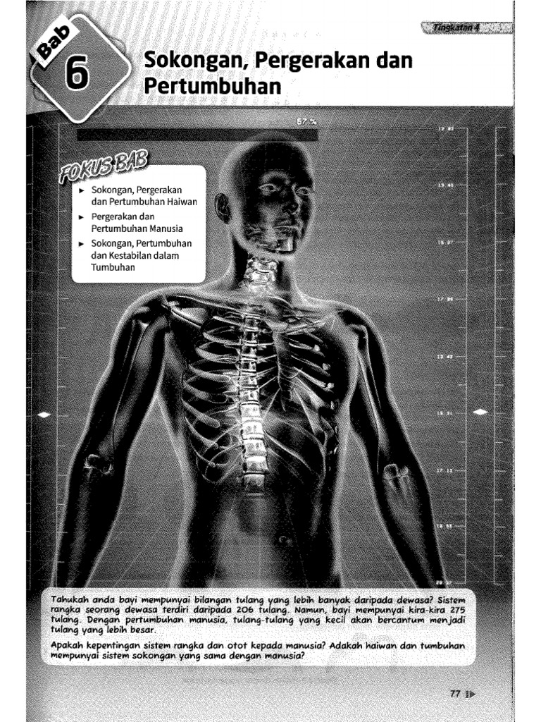 Sains Ting. 4 (Nota Bm) 6 | PDF