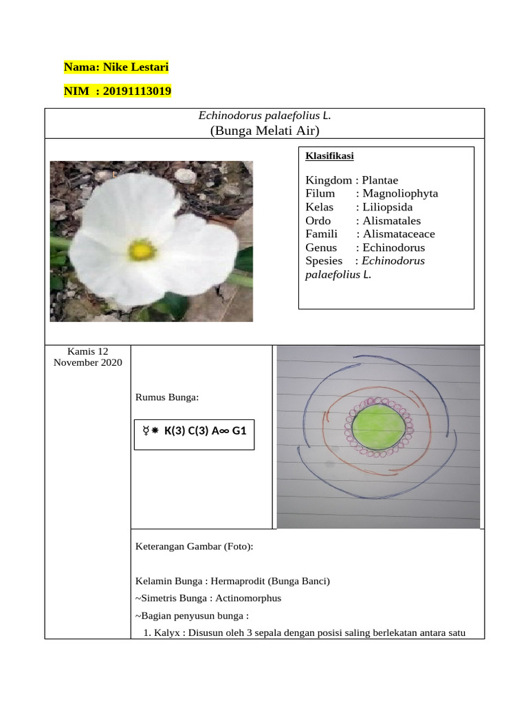 Jurnal diagram bunga | PDF