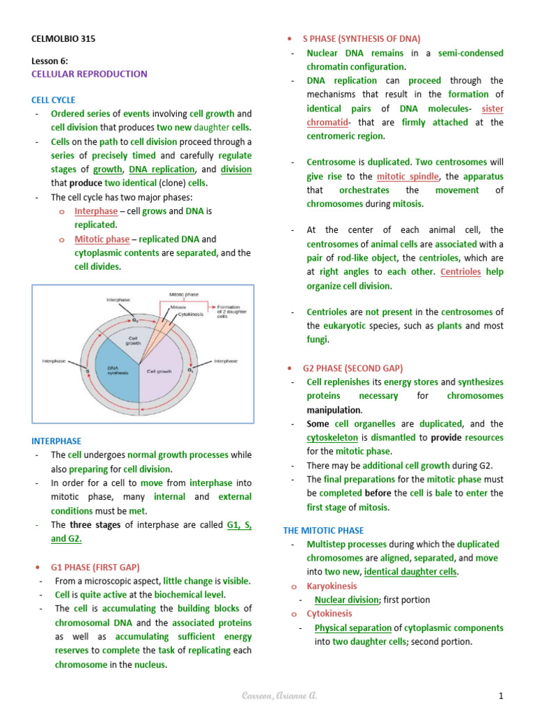 Cell Reproduction & Inheritance Lessons (CelMolBio) | PDF | Mitosis | Meiosis