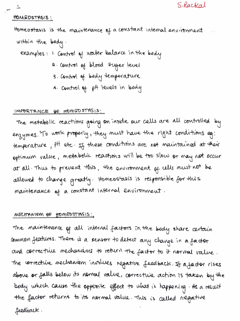homeostasis and endocrine system | PDF | Skin | Endocrine System