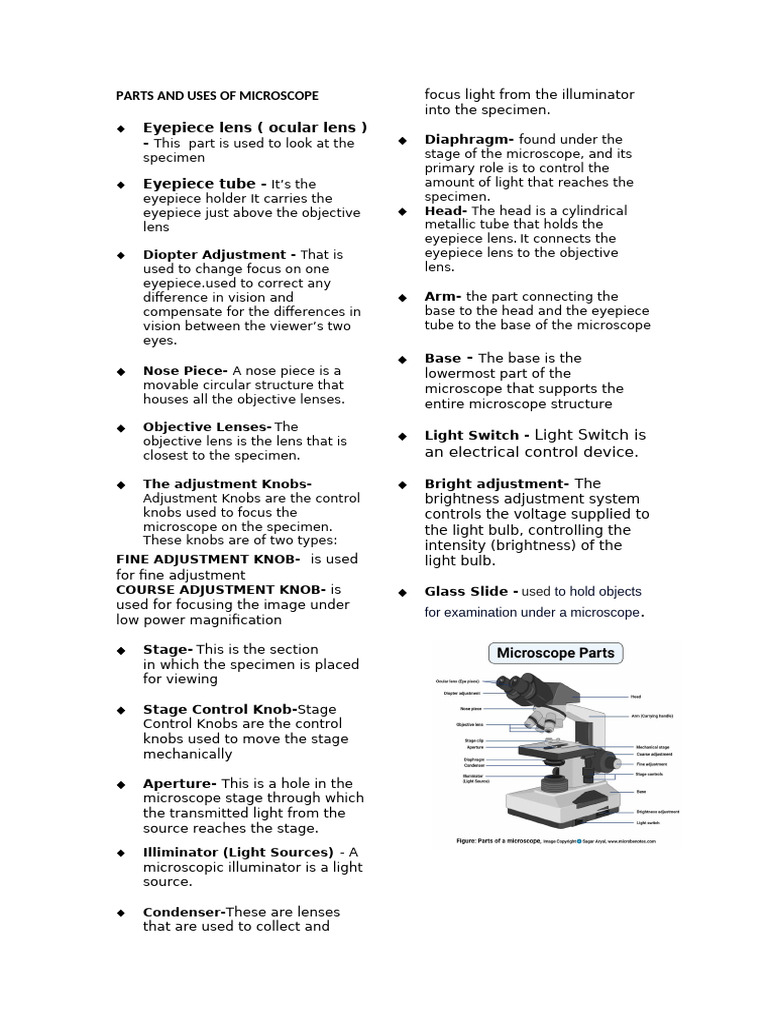 PARTS AND USES OF MICROSCOPE - Docx Neat | PDF | Vision | Glass ...