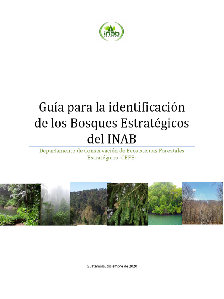 Guía INAB: Bosques Estratégicos Guatemala | PDF | Ecosistema | Los bosques
