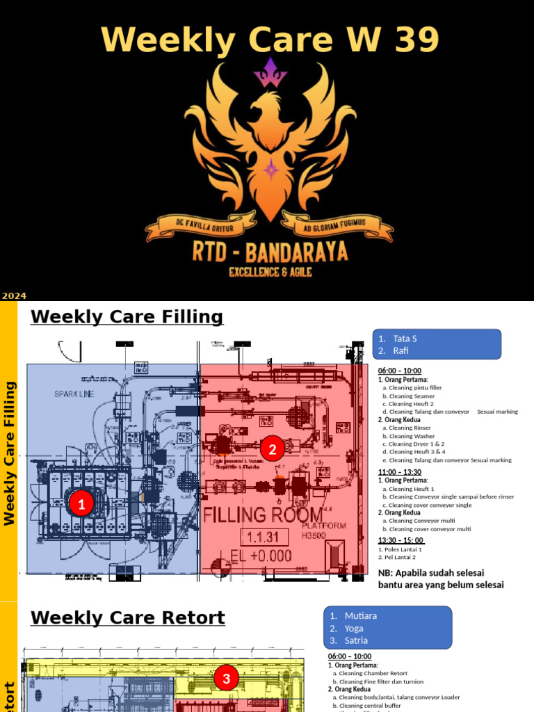 W39 Weekly Care Report | PDF