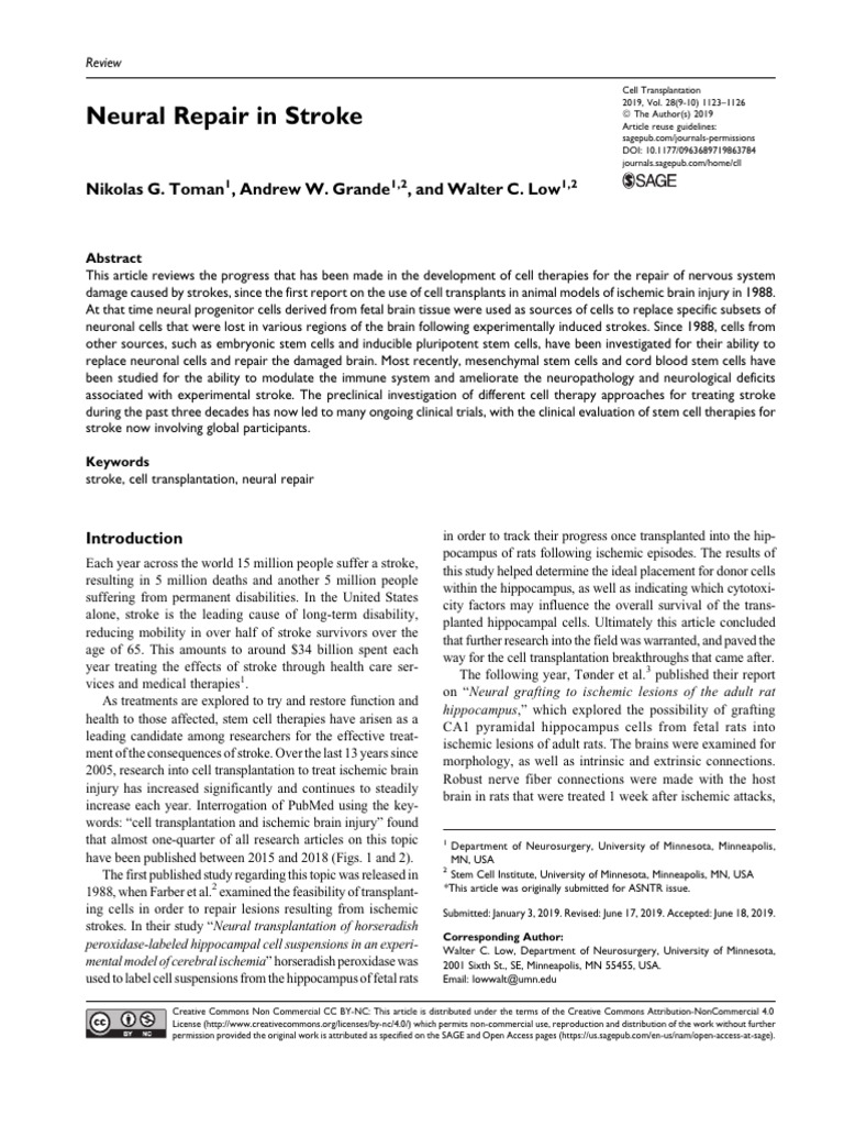 Neural Repair in Stroke: Nikolas G. Toman, Andrew W. Grande, and Walter ...