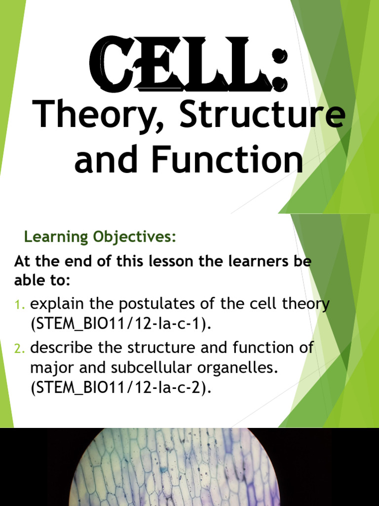 CELL, THEORY, STRUCTURE & FUCNTION | PDF | Cell (Biology) | Cytoplasm
