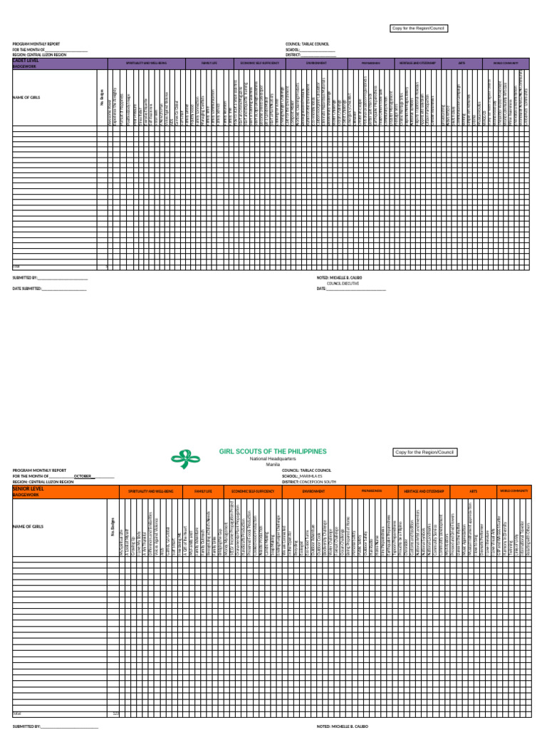 Badgework Report Form | PDF | Philippines