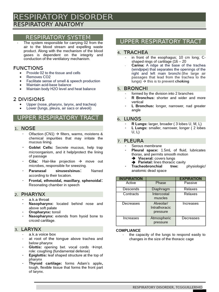 RESPI ANATOMY | PDF | Respiratory Tract | Lung