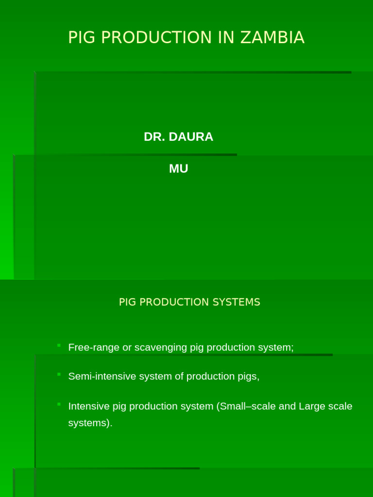 Pig Production Systems in Zambia | PDF | Pig