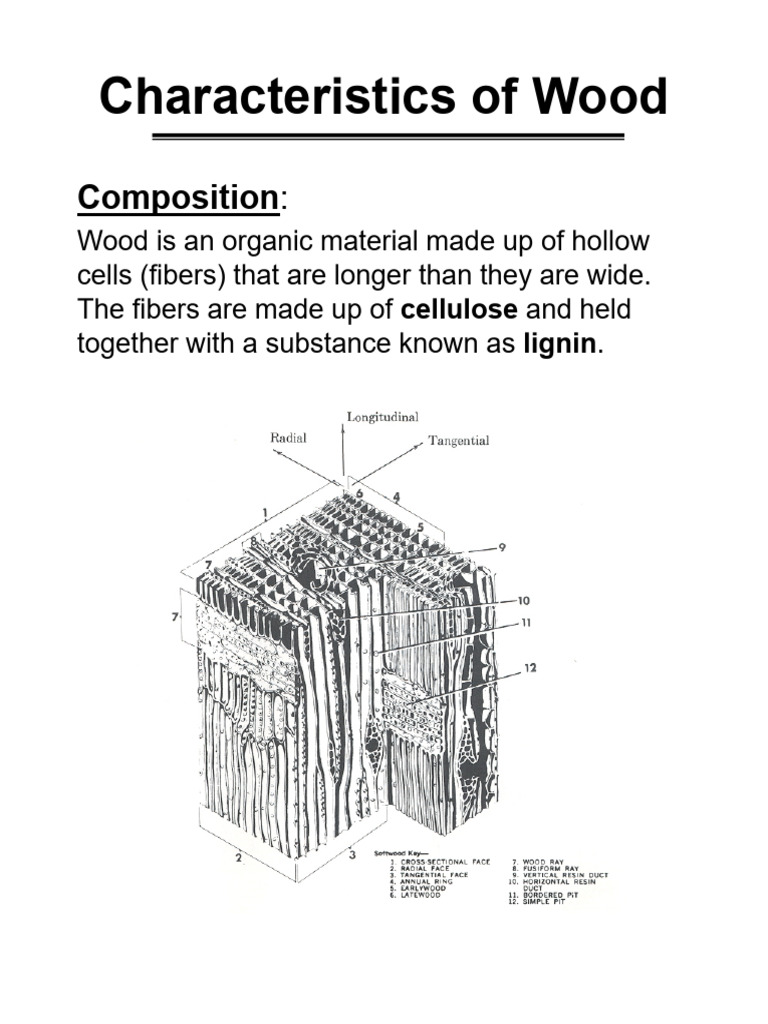 Hnd2.2 - Wood Characteristics | PDF | Wood | Lumber