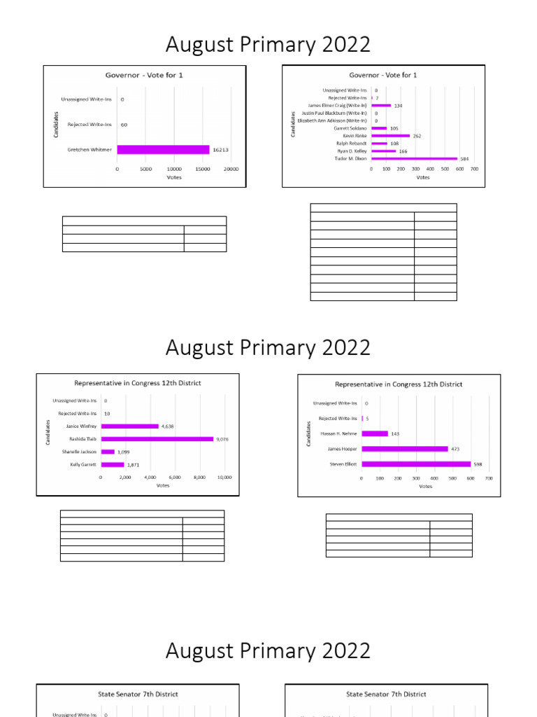 August Primary 2022 | PDF | Politics Of The United States | American ...