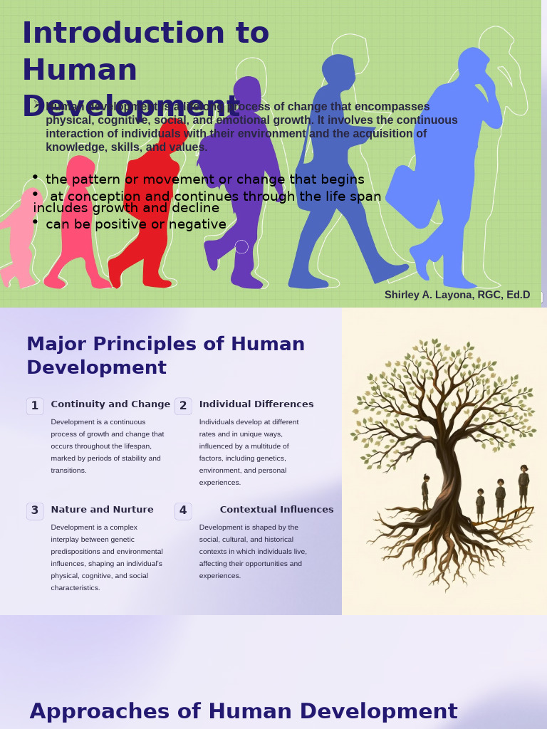 Key Principles of Human Development | PDF | Developmental Psychology ...