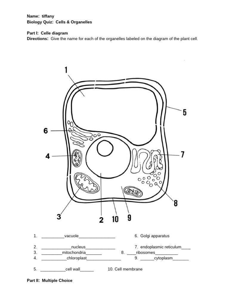 Test-Cells & Organelles v.2 | PDF | Cell (Biology) | Organelle