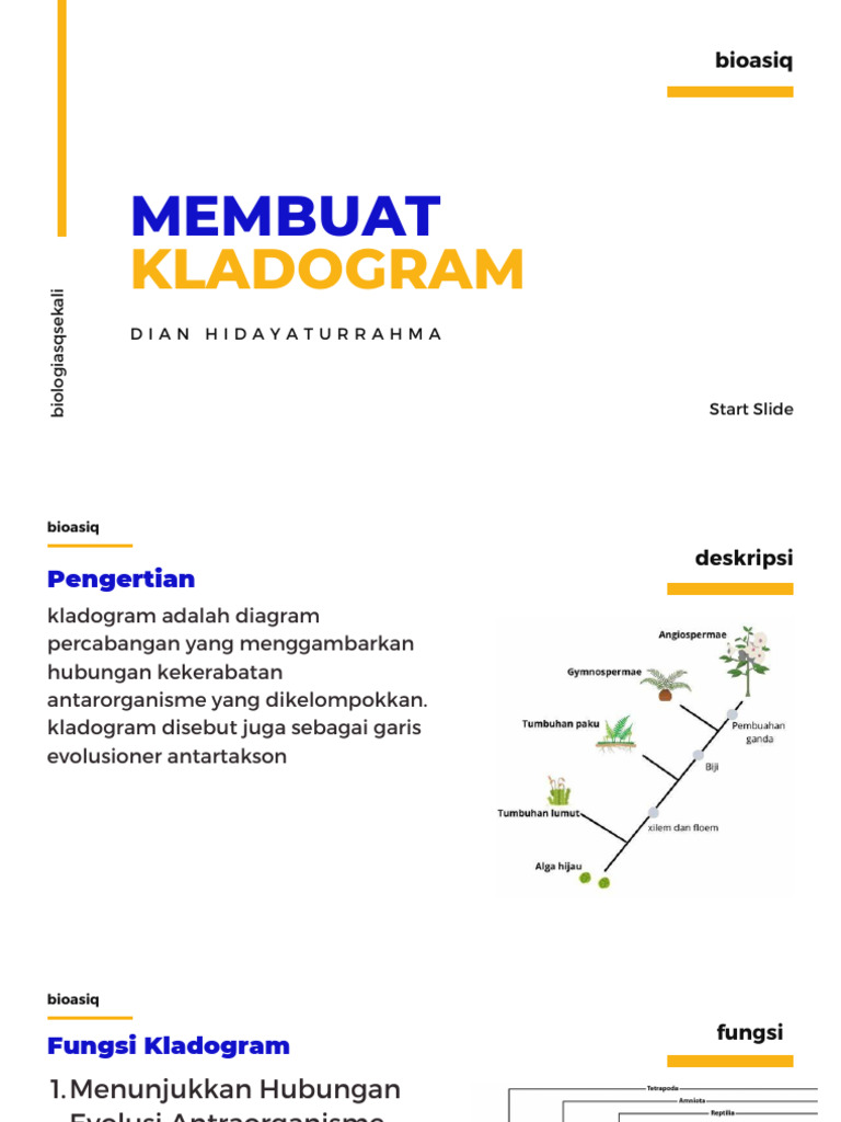 Cara Membuat Kladogram Sederhana | PDF