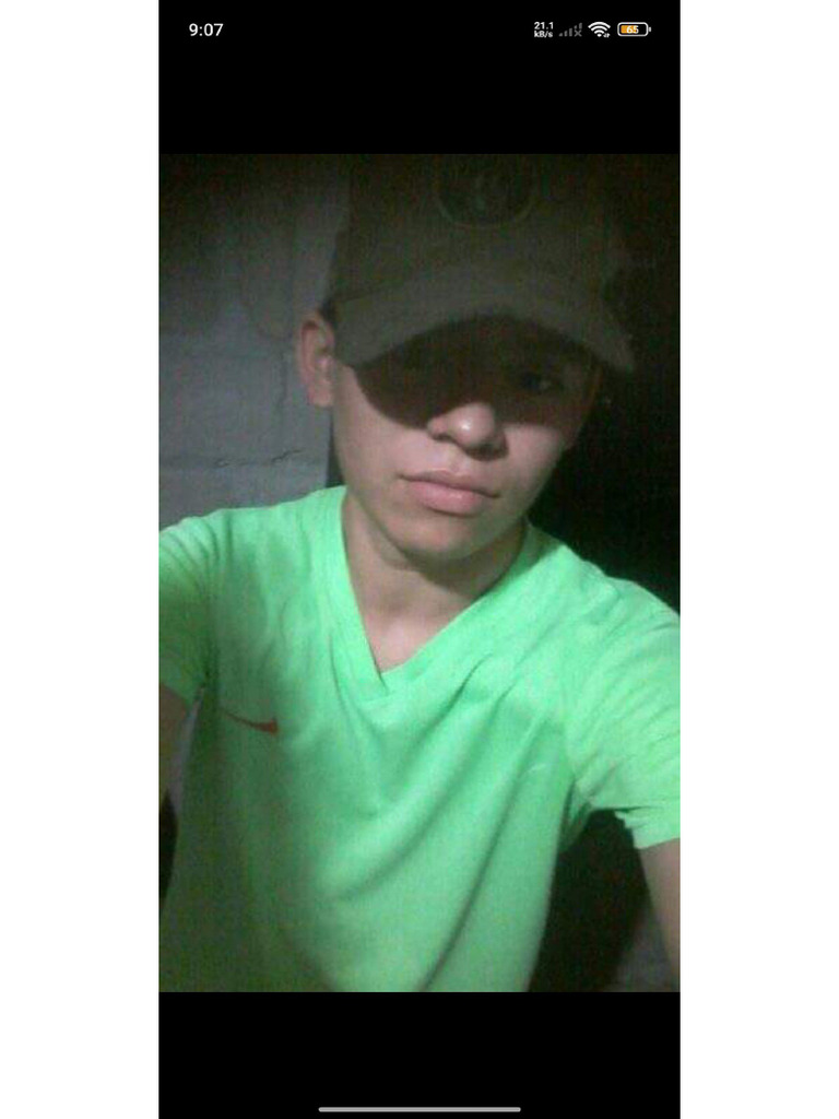 PDFReader 20241021 2109 | PDF