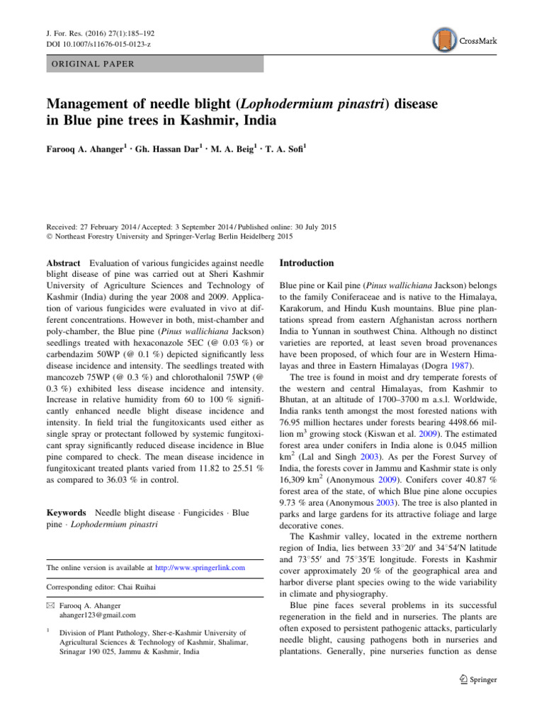 Management of Needle Blight | PDF | Plant Nursery | Pine