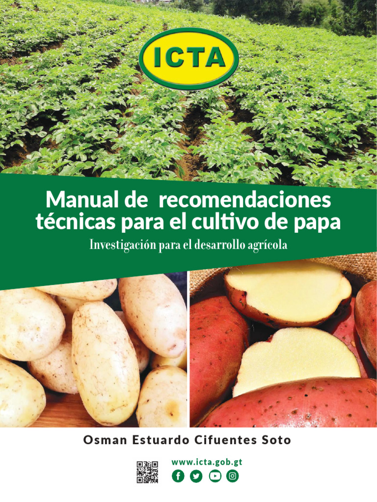 Manual Cultivo de Papa | PDF | Patata | Agricultura