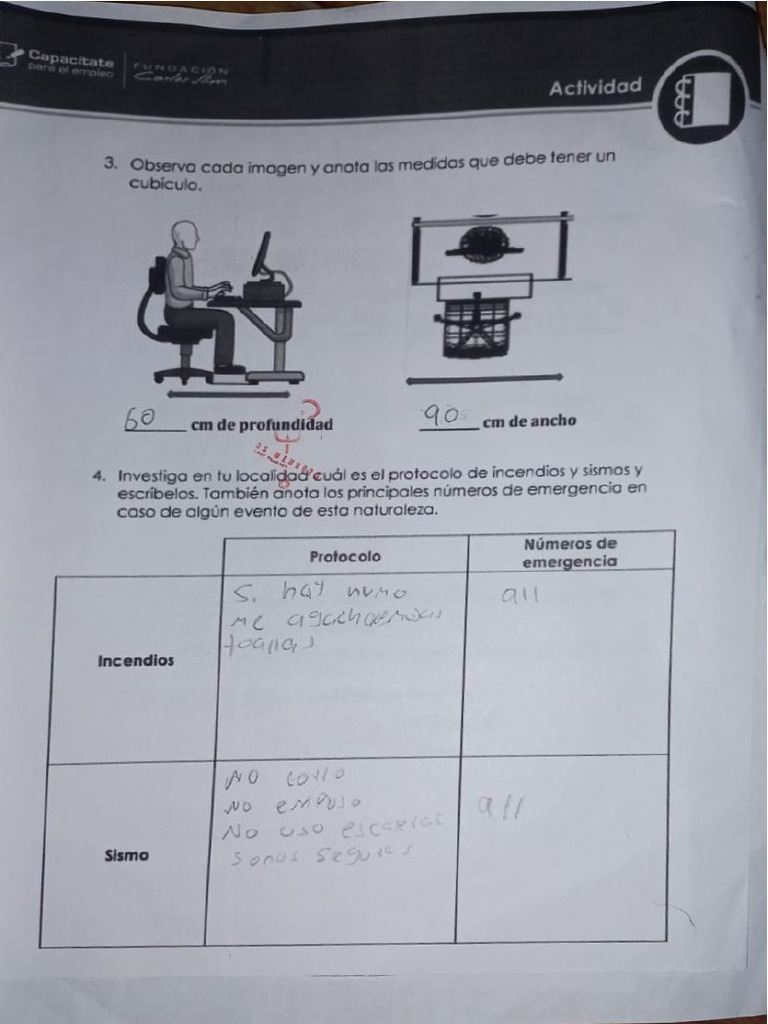 tareas cadlos .prf | PDF