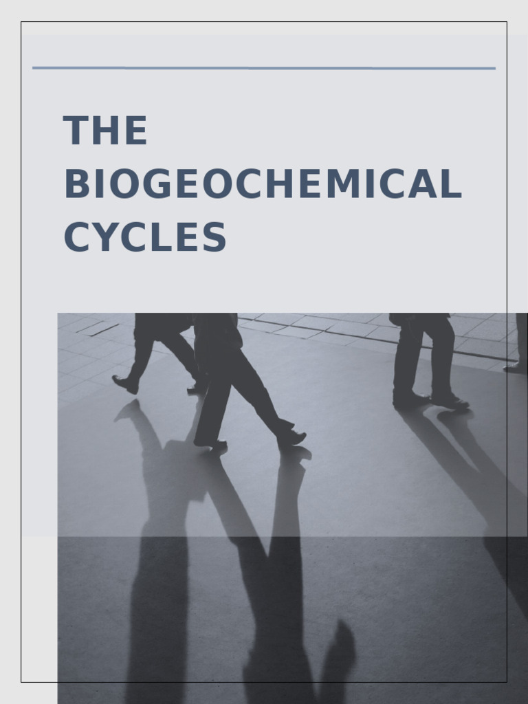 BIOGEOCHEMICAL SERIES PORTFOLIO | PDF | Water Cycle | Ecosystem
