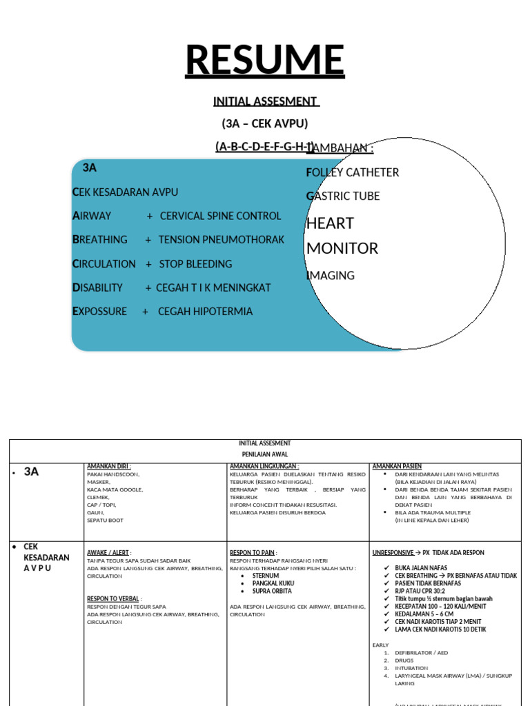 New INITIAL ASSESMENT ROBERT PLUS AED | PDF