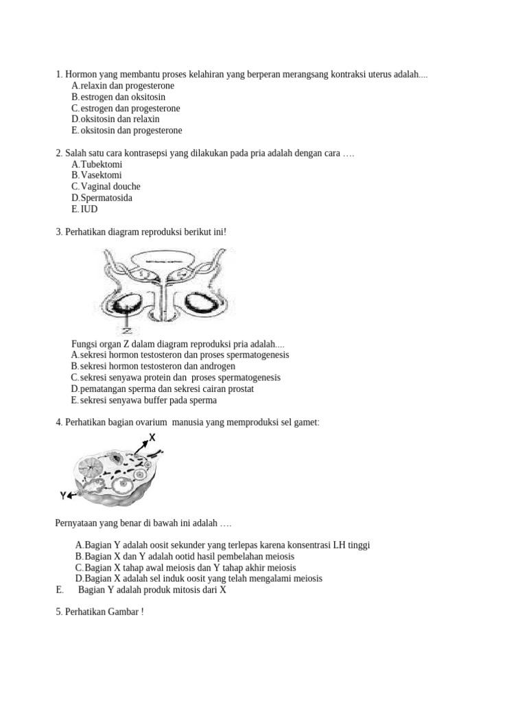Soal Biologi Sumatif Genap Xi Mipa 22-23 | PDF