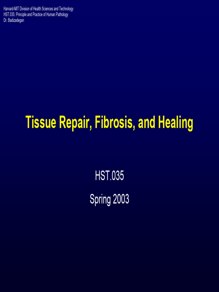 Tissue Repair and Fibrosis Overview | PDF | Extracellular Matrix | Cell ...