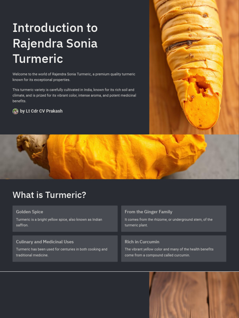 Introduction to Rajendra Sonia Turmeric | PDF | Turmeric | Organic Farming