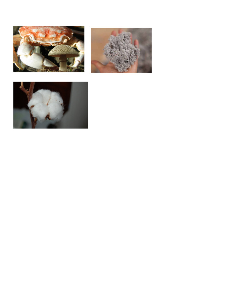 Documento (4) (1) | PDF