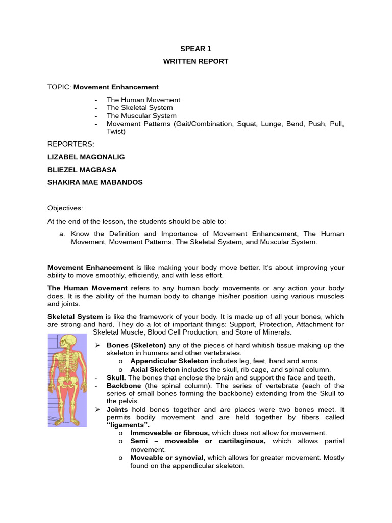 SPEAR 1 WRITTEN REPORT | PDF | Skeleton | Muscle