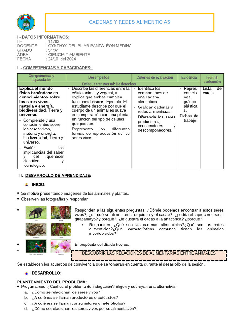 Cadenas y Redes Alimenticias | PDF | Hipótesis | Evaluación