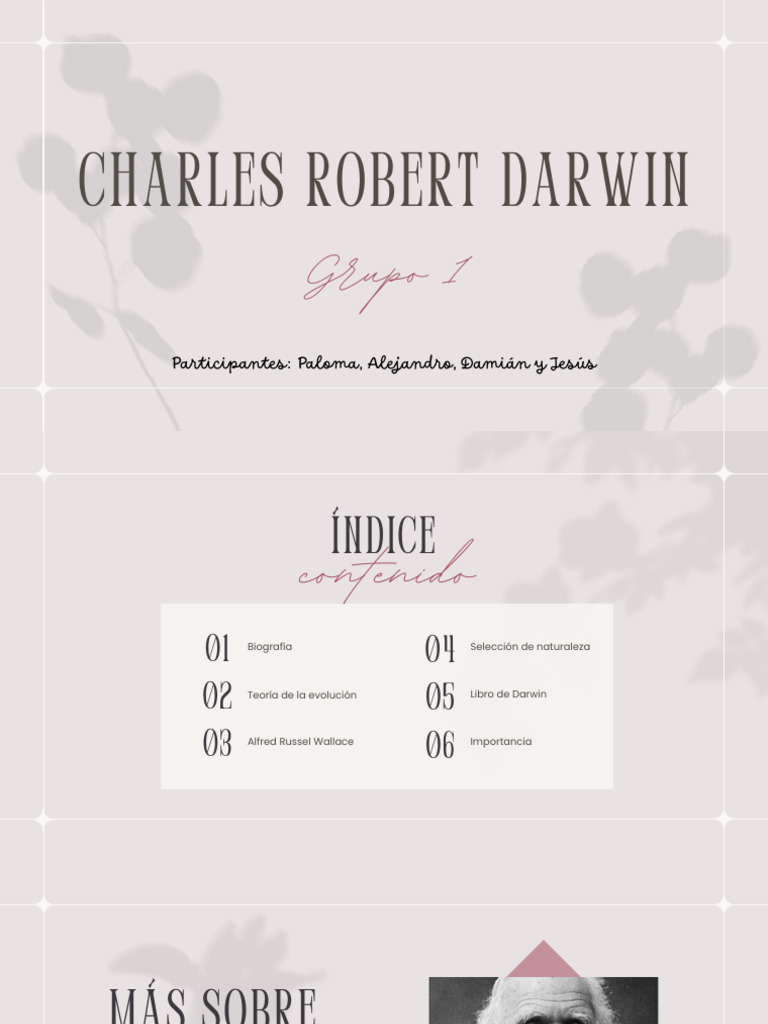 Presentación Diapositivas Propuesta de Proyecto Portfolio Catálogo Aesthetic Elegante Orgánico ...