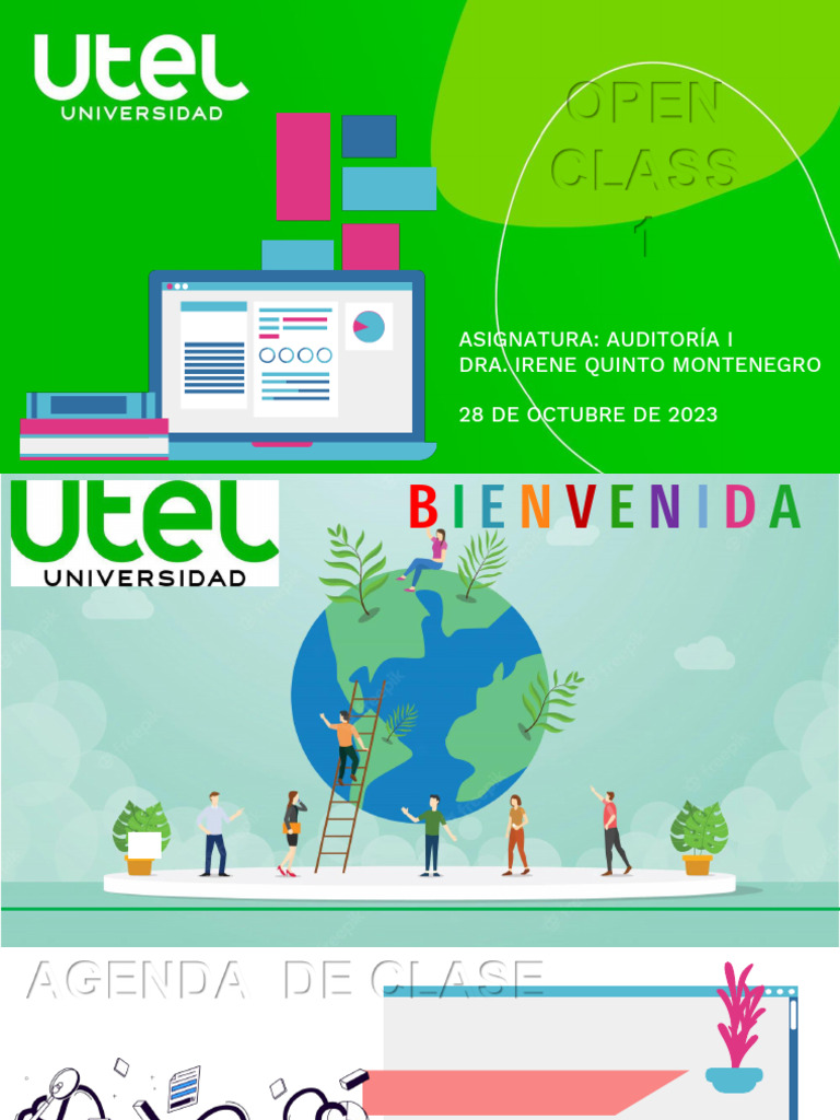 OPEN CLASS 1 281023 AUD Irene Quinto | PDF | Auditoría | Contralor