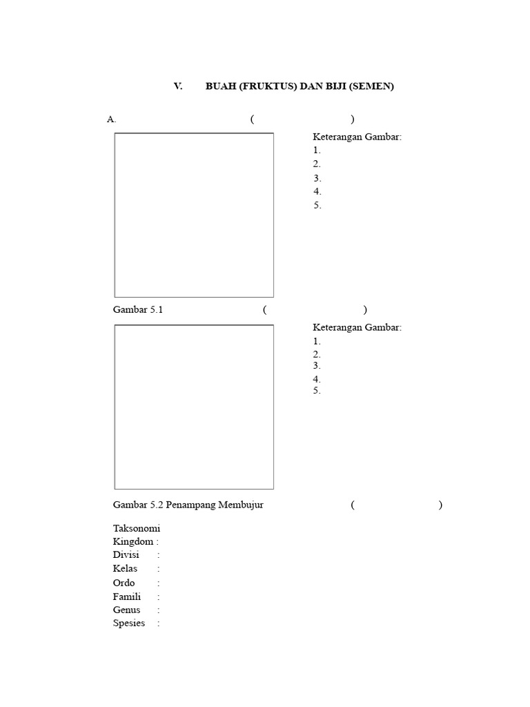 Format Botani Acara 5 Buah (Fructus) Dan Biji (Semen) | PDF