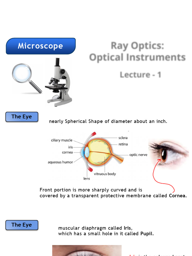Optical Instruments PPT | PDF | Angular Resolution | Optics